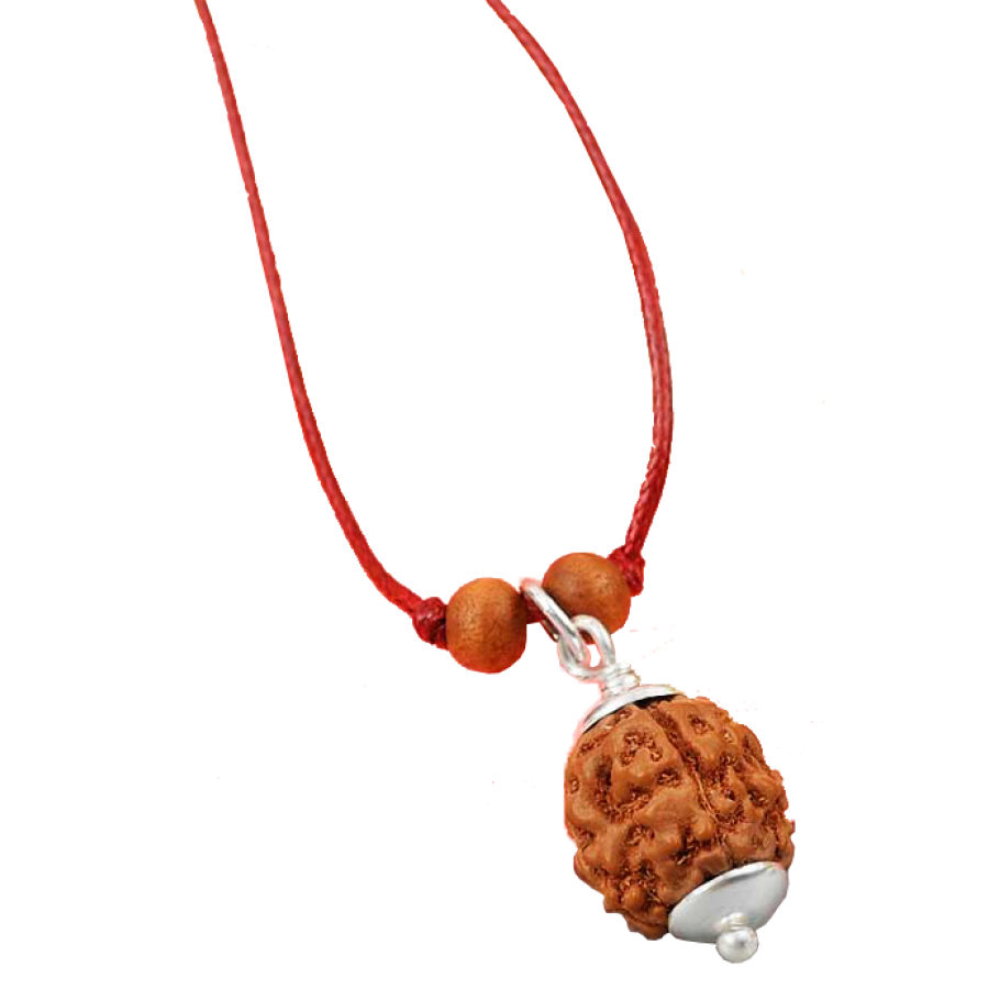 4 Mukhi Rudraksha: Four Mukhi Rudrakash Online at Rudraksha-gemstones.com