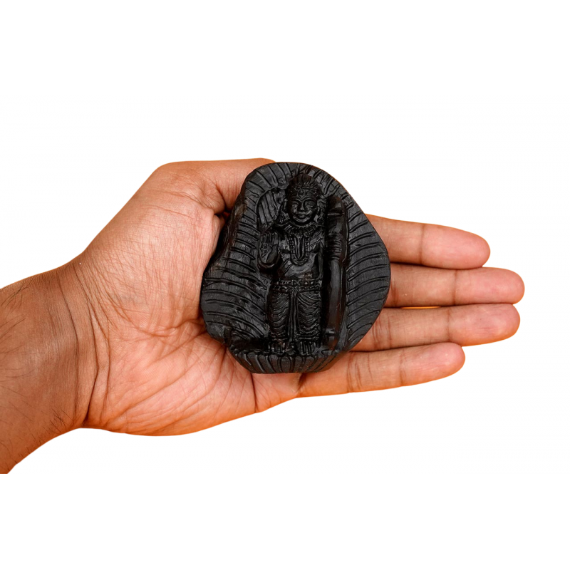 lord-ram-shaligram-murti