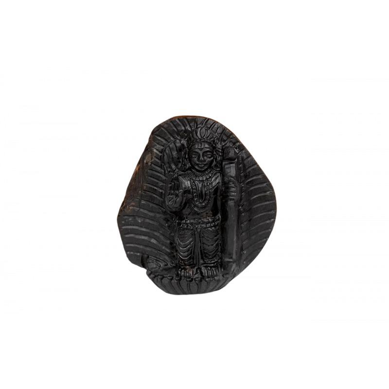 lord-ram-shaligram-murti